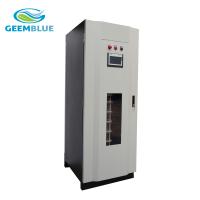 China 200g/h Sodium Hypochlorite Generator Swimming Pool Disinfection for sale