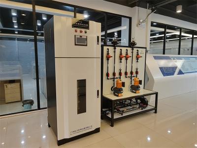 China 220V 50HZ Tap Water Sodium Hypochlorite Generator 20L/H Polarity Reverse for sale