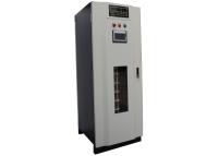 China ISO9001 Remote Control Electro Chlorination System for Food Grade Disinfection for sale