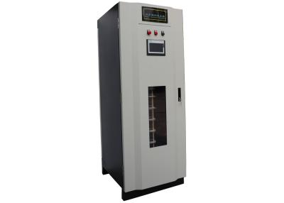 China ISO9001 Remote Control Electro Chlorination System for Food Grade Disinfection for sale