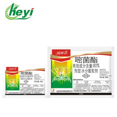 China 131860-33-8 Anthracnose 80% WG AZOXYSTROBIN Fungicide For Cucumber Plants for sale