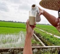 China Validamycin A 20% SP Rice Blast Control Agricultural Fungicide for sale