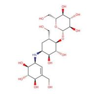 China 37248-47-8 Bacillus Subtilis 1X10E12 CFU G Validamycin A 20% WP Biological Pesticides for sale