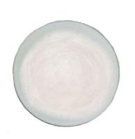 China CAS 76738-62-0 Paclobutrazol 15% WP In Fruit Tree Vegetable for sale