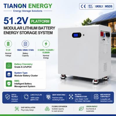 China 51.2V 16.08kWh 314Ah LiFePO4 Battery Energy Storage System Modular Cluster CAN RS485 TCP/IP Home Commercial ESS for sale