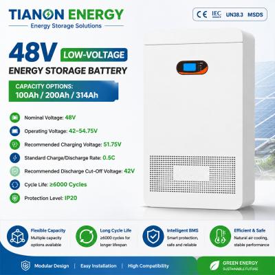 China 48V 200Ah 9.6kWh LiFePO4 Lithium Battery Energy Storage System Low Voltage ≥6000 Cycles BMS CAN RS485 Home Solar ESS for sale