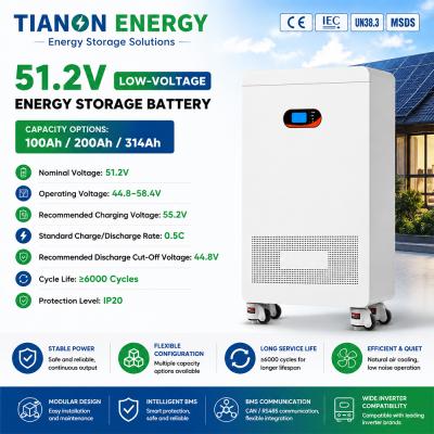 China 51.2V 100Ah 5.12kWh LiFePO4 Lithium Battery Energy Storage System Low Voltage ≥6000 Cycles BMS CAN RS485 Home Solar ESS for sale