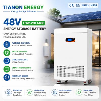 China 48V 314Ah 15.07kWh LiFePO4 Lithium Battery Energy Storage System Low Voltage ≥6000 Cycles BMS CAN RS485 Home Solar ESS for sale