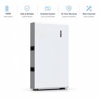 China Series Wall-Mounted LiFePO4 Battery 51.2V 5kWh 10kWh 16kWh Solar Energy Storage System for Home TIANON for sale
