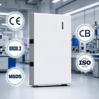 China Wall-Mounted 51.2V LiFePO4 Battery 5kWh 10kWh 16kWh Solar Energy Storage System for Home - TIANON for sale