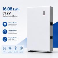 China Wall-Mounted 51.2V LiFePO4 Battery 5kWh 10kWh 16kWh Solar Energy Storage System for Home - TIANON for sale