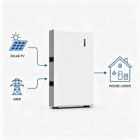 China Wall-Mounted 51.2V LiFePO4 Battery 5kWh 10kWh 16kWh Solar Energy Storage System for Home - TIANON for sale