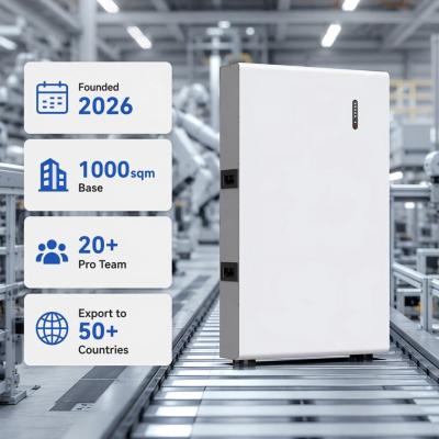 China Wall-Mounted 51.2V LiFePO4 Battery 5kWh 10kWh 16kWh Solar Energy Storage System for Home - TIANON for sale
