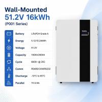 China Series 51.2V 100Ah 200Ah Wall-Mounted LiFePO4 Battery 5kWh 10kWh Solar Energy Storage System for Home Tianon for sale