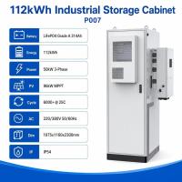 China 112kWh Industrial Commercial Energy Storage Cabinet LiFePO4 Battery System for Factory Solar Power Tianon for sale