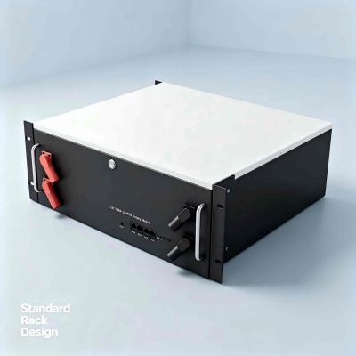 China 51.2V 200Ah 10.24kWh Rack-Mounted LiFePO4 Battery Storage System for Home Solar Power Tianon for sale