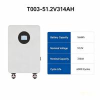 China 51.2V 314Ah 16kWh Roller Type LiFePO4 ESS Mobile Floor Standing Solar Battery Whole House Off Grid Home Energy Storage - Tianon for sale