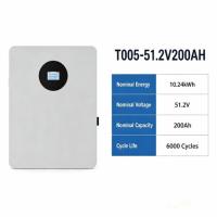 China 51.2V 200Ah 10.24kWh Wall-Mounted LiFePO4 Battery Powerwall for Whole House Solar Storage TIANON for sale