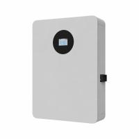 China 51.2V 200Ah 10.24kWh Wall-Mounted LiFePO4 Battery Powerwall for Whole House Solar Storage TIANON for sale