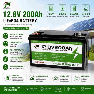 China 12.8V 100Ah LiFePO4 Battery Pack Lead Acid Replacement Smart BMS - Tianon for sale