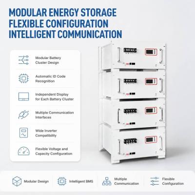 China 24-100 Rack Mounted LiFePO4 Battery 25.6V 100Ah 2.56kWh with BMS RS485 CAN for Solar UPS Backup for sale