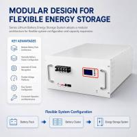 China 51.2-200 Rack Mounted LiFePO4 Battery 51.2V 200Ah 10.24kWh with BMS RS485 CAN for Solar UPS Backup for sale