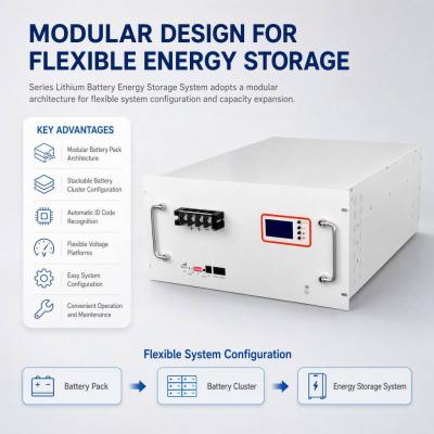 China 48-100 Rack Mounted LiFePO4 Battery 48V 100Ah 4.80kWh with BMS RS485 CAN for Solar UPS Backup for sale