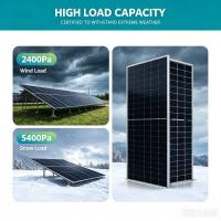 China 715-740W N-Type TOPCon Bifacial Double Glass Solar Panel 23.04% 156 Half Cell 25% Gain for sale