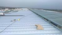 China Corrosion Resistant Architectural Roofing Systems For Public Building Projects for sale