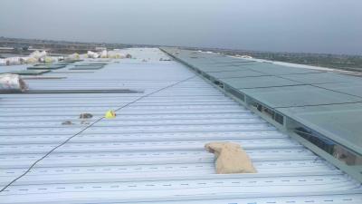 China Corrosion Resistant Architectural Roofing Systems For Public Building Projects for sale