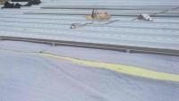 China Concealed Fix Metal Roof Systems For Airport / Transportation Terminal Projects for sale