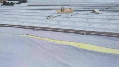 China Concealed Fix Metal Roof Systems For Airport / Transportation Terminal Projects for sale