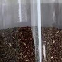 China Organic Iron From Iron Amino Acid Complex Fe Nutritional Animal Feed Additives for sale