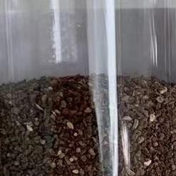 China Organic Iron From Iron Amino Acid Complex Fe Nutritional Animal Feed Additives for sale