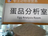 China Antioxidant Ability L Selenomethionine Powder Higher Pigment Egg Organic Trace Minerals for sale