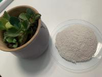 China 2000ppm 0.2 Ppm L Selenomethionine Powder  Organic Se Enhance Breeding Egg's Hatchability for sale