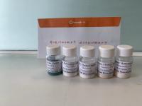 China White Powder Zinc Glycine Chelate Organic Feed Additives In Animal Nutrition for sale