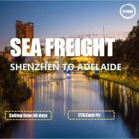 China International Sea Freight Shipping Shenzhen to Adelaide LCL FCL Logistics Service for sale