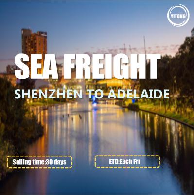 China International Sea Freight Shipping Shenzhen to Adelaide LCL FCL Logistics Service for sale
