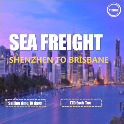 China DDP International Sea Freight from Shenzhen to Brisbane Australia 4 Weekly Sailings for sale