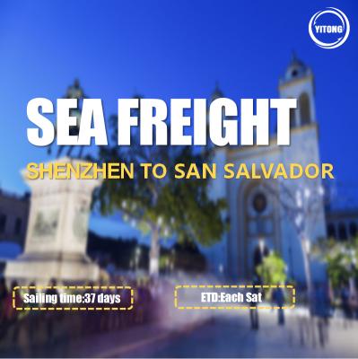 China Shenzhen to San Salvador Ocean Freight Port to Port 37 Days Transit LCL FCL for sale