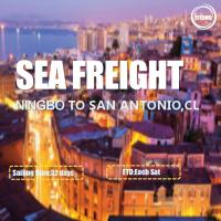 China Ocean Freight from Ningbo to San Antonio Chile 32 Days LCL FCL Shipping for sale
