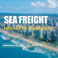China Ocean Freight Ningbo to Durban South Africa 32 Days LCL FCL Shipping for sale