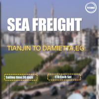 China FOB CIF Sea Freight Logistics Tianjin to Damietta Egypt 36 Days for sale