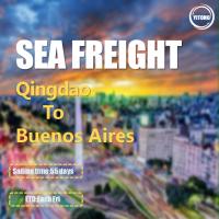 China 55 Days Sea Freight Logistics from Qingdao to Buenos Aires Argentina LCL FCL for sale