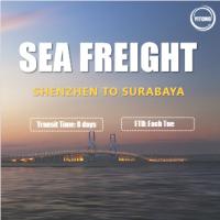 China International Sea Freight Shenzhen to Surabaya Indonesia 8 Days Transit Competitive Rate for sale