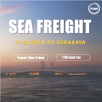 China International Sea Freight Shenzhen to Surabaya Indonesia 8 Days Transit Competitive Rate for sale