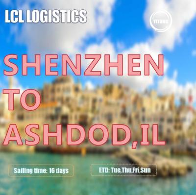 China Shenzhen to Ashdod LCL Sea Freight 16 Days Transit by ONE Liner for sale