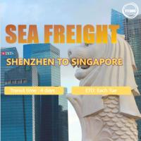 China International Sea Freight Shenzhen to Singapore Port to Port 4 Days Transit for sale