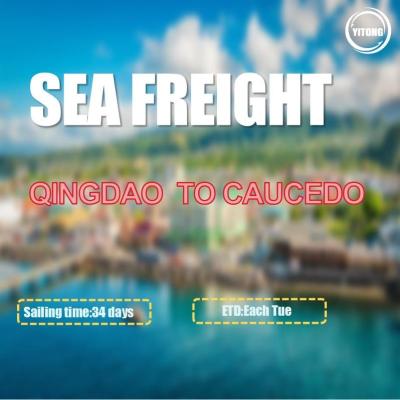 China 34 Days International Sea Freight Shipping Qingdao to Caucedo Dominican Direct Sailing for sale